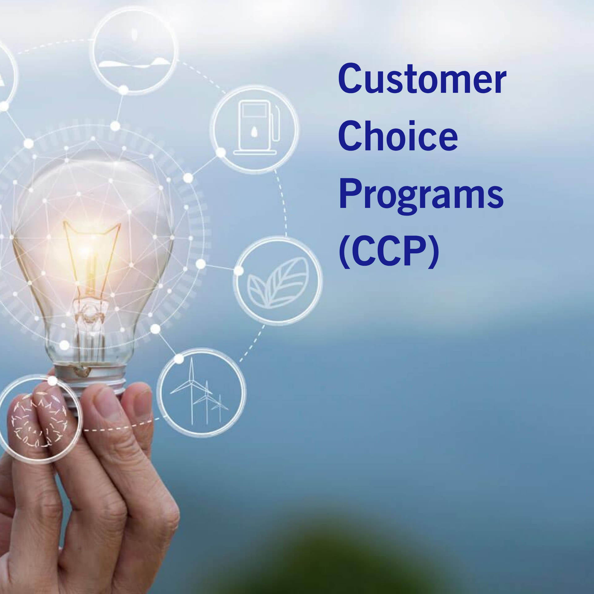 Customer Choice Programs